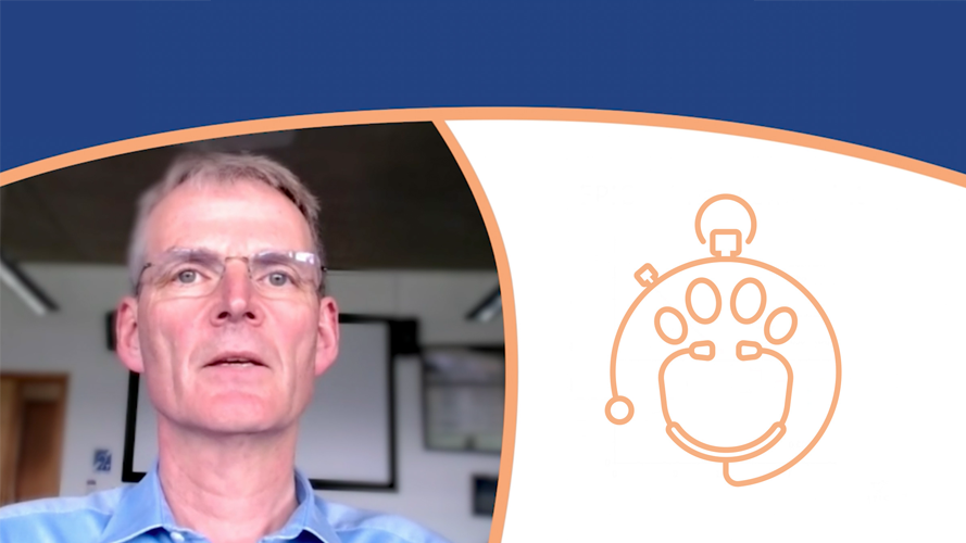 Resources | iConsultVet