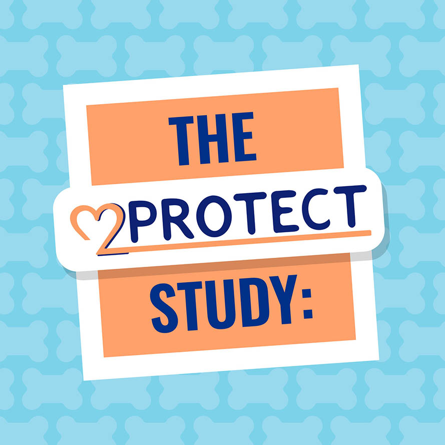 Treatment - 4 | iConsultVet