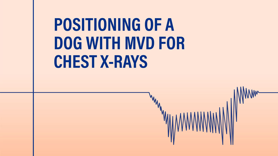 Resources | iConsultVet